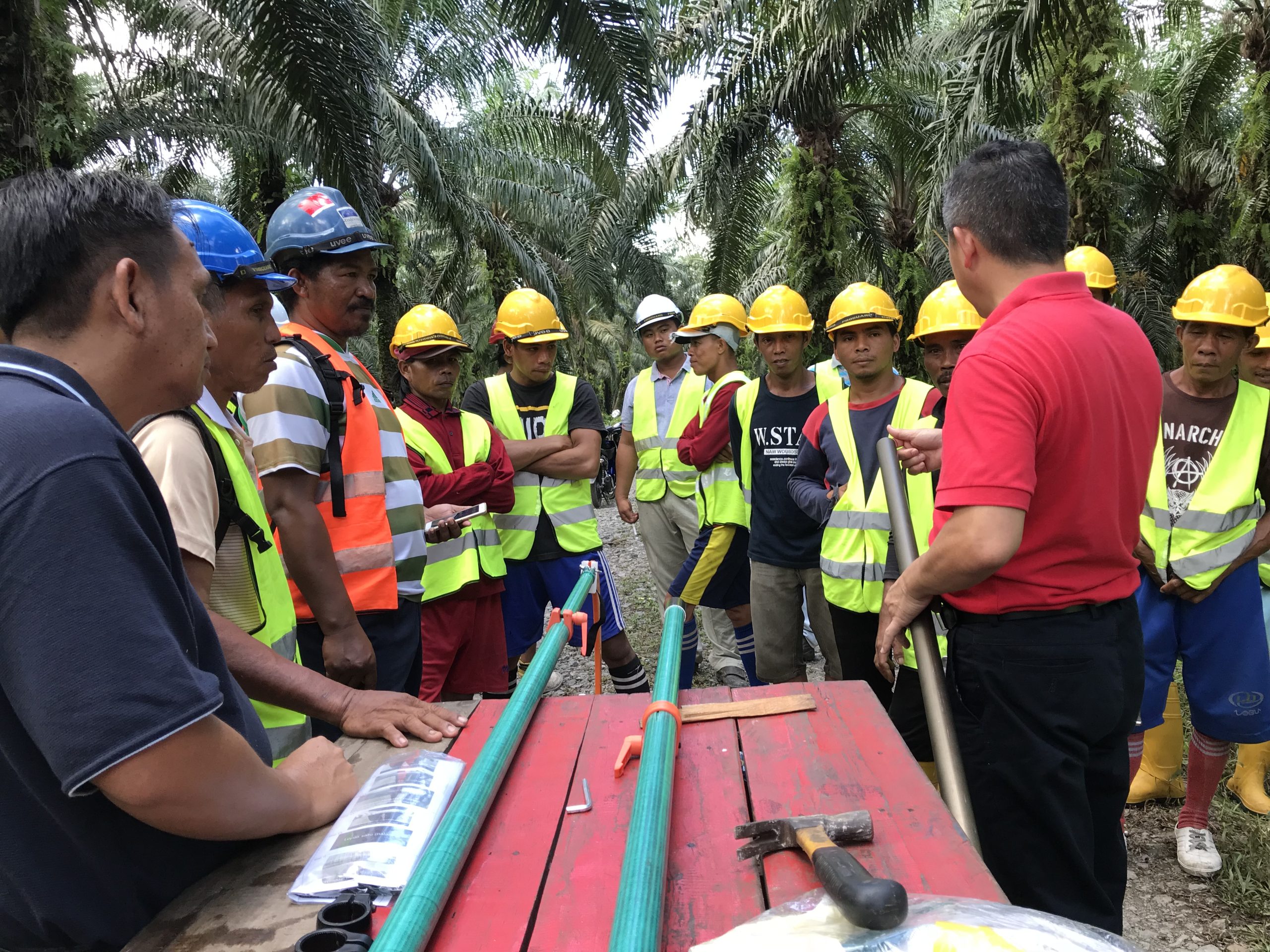 Tradewind Plantation Ladang Matu Daro Sarawak - TenAsia